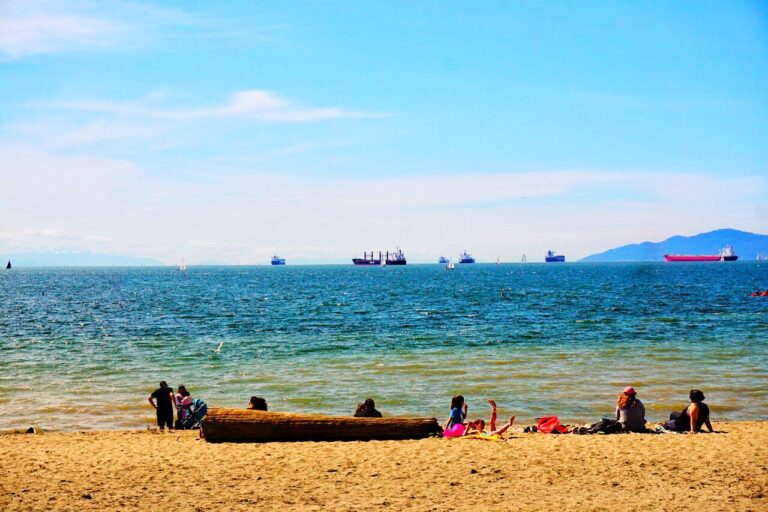 YOGON-English Journey