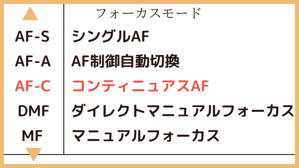 【カメラ初心者】カメラのピントが合わないときの対処方法！オートフォーカスの種類│YOGON-Photograph