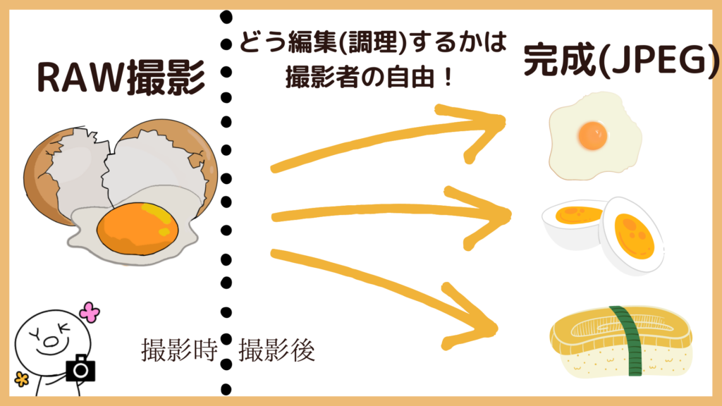 【カメラ設定】カメラ上達手順のまとめ！カメラの始め方【ミラーレス一眼初心者のロードマップ】│YOGON-Photograph