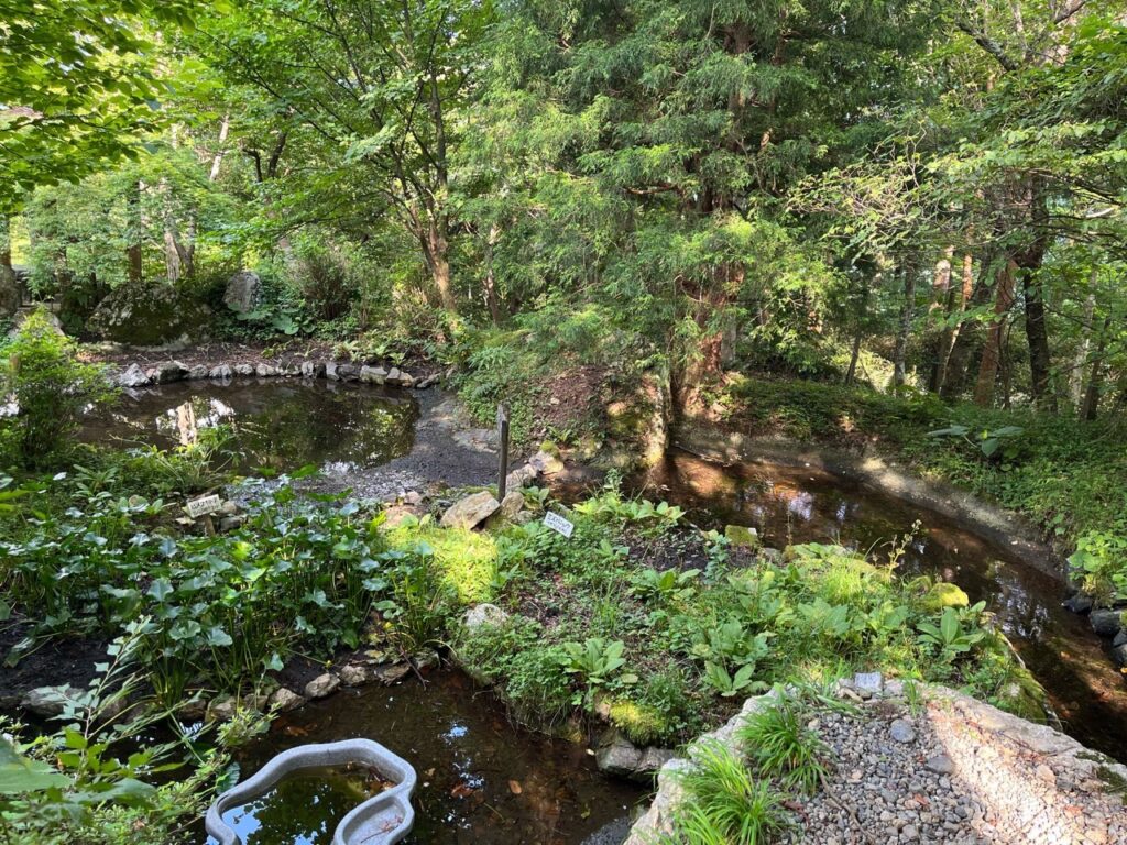 【圧巻の星空キャンプ】岳人の森オートキャンプ場を紹介！星空撮影に最適な徳島のキャンプ場│YOGON-Photograph