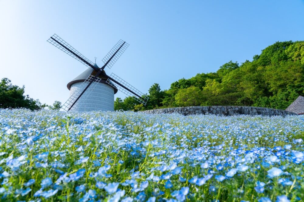 徳島のおすすめ写真スポットのまとめ！│YOGON-Photograph