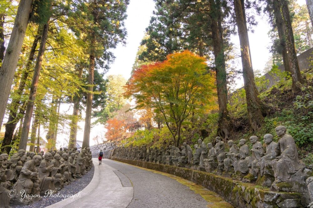 【凄い！】シネマティックな写真が撮れる｜ブラックミスト0.5レビュー「Kenkoレンズフィルター」│YOGON-Photograph