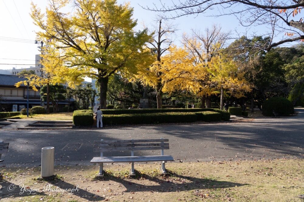 今話題！オールドレンズ風に撮れるホワイトミストNo1の効果｜レンズフィルターをレビュー│YOGON-Photograph