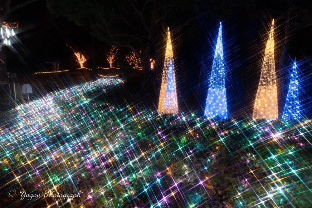 クロスフィルター5選！夜景やイルミネーションにおすすめ！簡単に映える！【Kenkoレンズフィルター】│YOGON-Photograph