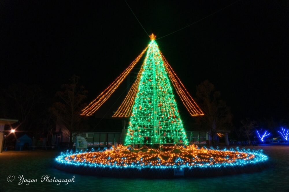 クロスフィルター5選！夜景やイルミネーションにおすすめ！簡単に映える！【Kenkoレンズフィルター】│YOGON-Photograph