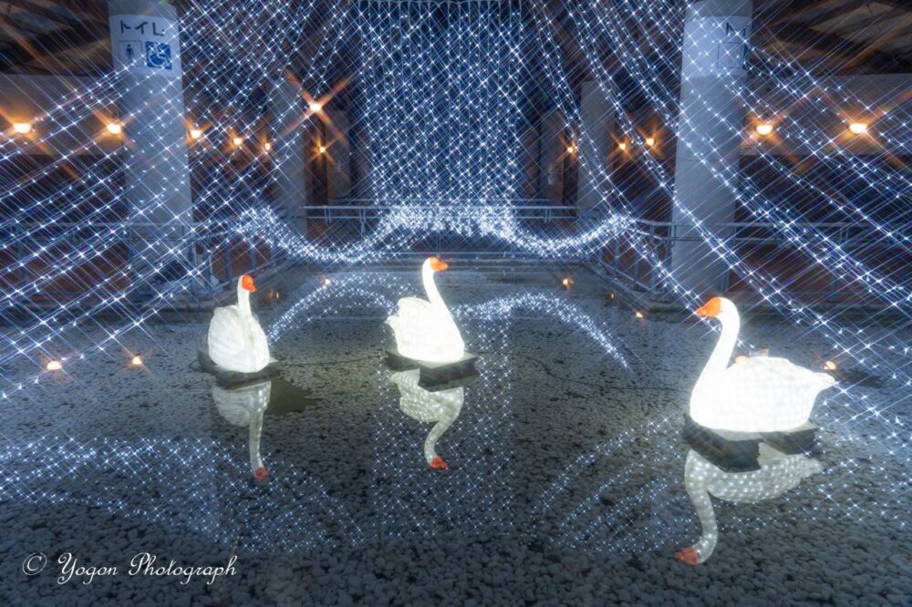 クロスフィルター5選！夜景やイルミネーションにおすすめ！簡単に映える！【Kenkoレンズフィルター】│YOGON-Photograph