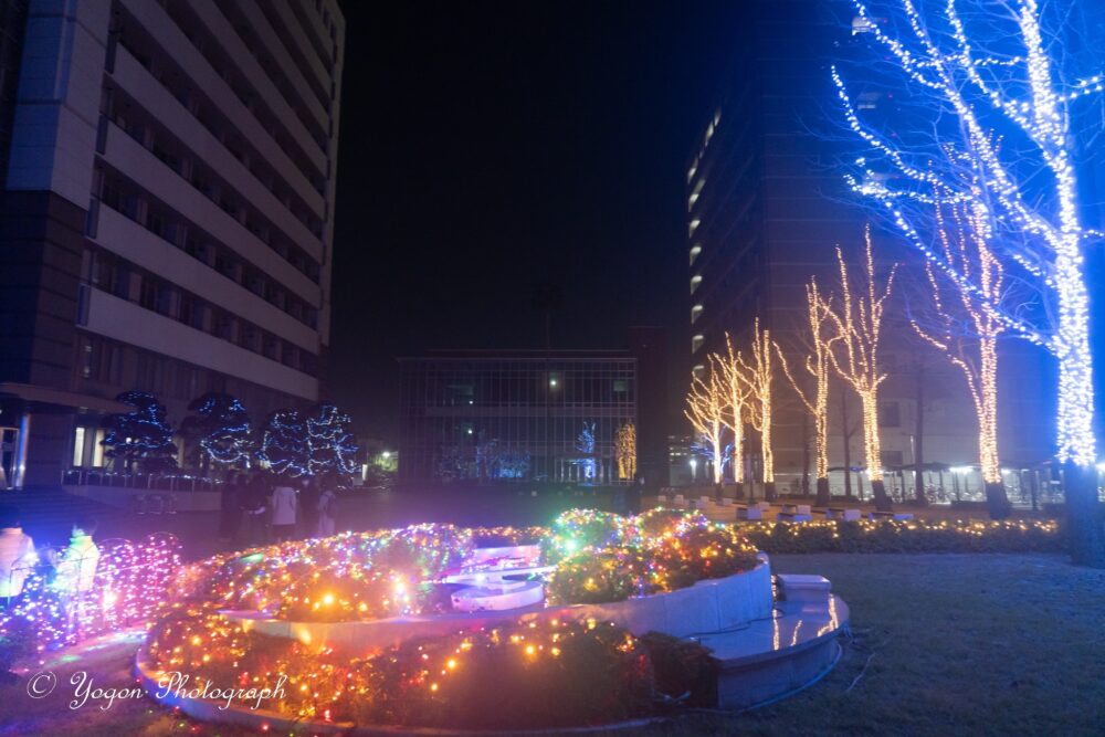 今話題！オールドレンズ風に撮れるホワイトミストNo1の効果｜レンズフィルターをレビュー│YOGON-Photograph