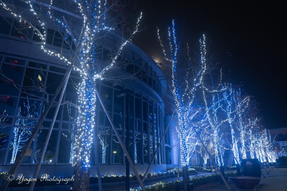 今話題！オールドレンズ風に撮れるホワイトミストNo1の効果｜レンズフィルターをレビュー│YOGON-Photograph